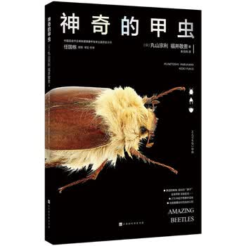 神奇的甲虫