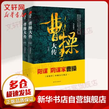 曹操大传 上下册