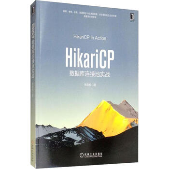 HikariCP数据库连接池实战 朱政科 著 数据库专业科技 新华书店正版图书籍