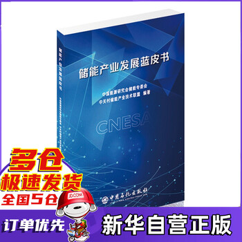储能产业发展蓝皮书