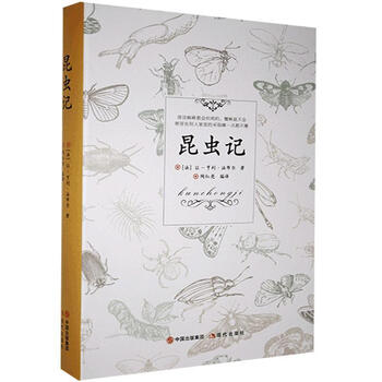 昆虫