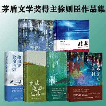 茅盾文学奖得主徐则臣作品集套装6册 青城/北上/跑步穿过中关村/如果大雪封门/北京西郊故事集/无法返