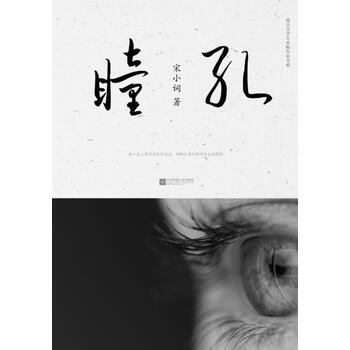 正版当日发货 瞳孔  小说宋小词江苏凤凰文艺出版社