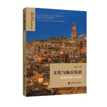 正版图书 文化与城市发展—可持续性与合作 陈圣来 上海社会科学院出版社 9787552029598