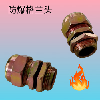 BDM防爆格兰头6分电缆夹紧密封接头4分密封接头G1/2碳钢镀锌G3/4 4分【图片 价格 品牌 报价】-京东
