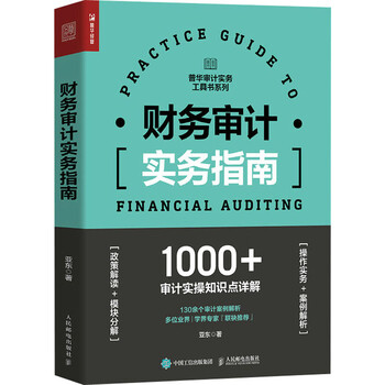 财务审计实务指南