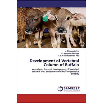 Development of Vertebral Column of Buffalo