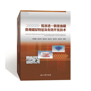 低渗透—致密油藏微观储层特征及有效开发技术