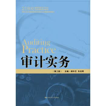 审计实务(第2版)