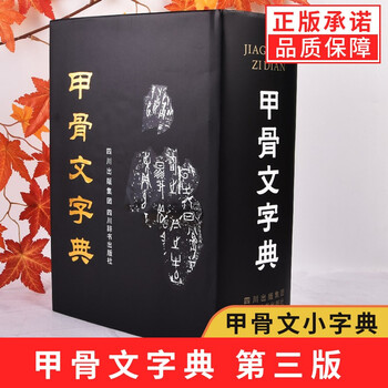 正版甲骨文字典(精)工具书籍 红色
