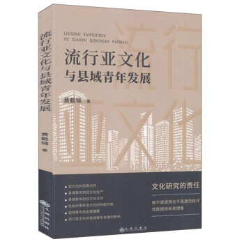 流行亚文化与县域青年发展 不详
