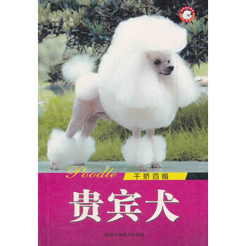 【新华书店 正版书籍】千娇百媚：贵宾犬王晓主编 正版图书绘本