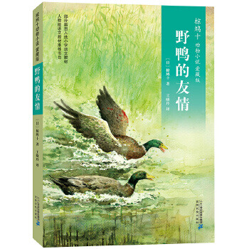 正版野鸭的友情椋鸠十动物小说爱藏本医学医疗器械及使用