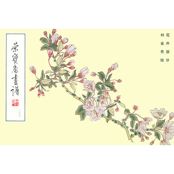 荣宝斋画谱花卉部分