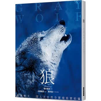 台版 狼 狼与野犬 深入大自然全实境写实拍摄 菊水健史 动物史摄影画册自然科普