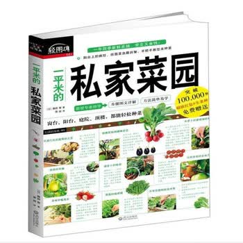 一平米的私家菜园【正版图书】