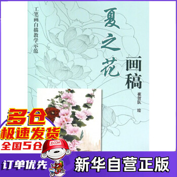 夏之花画稿(工笔画白描教学示范)