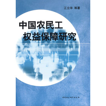 中国农民工权益保障研究