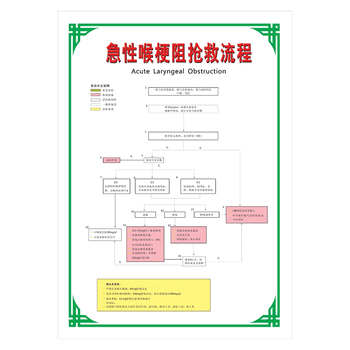 医院制度急救程序挂图过敏性休克抢救流程图示意图墙贴纸WSB169 WSB169-22 70*100cm  PP覆膜贴纸