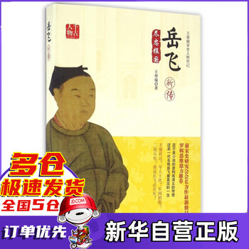 岳飞新传