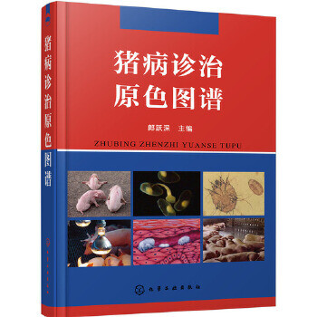 猪病诊治原色图谱【正版图书】