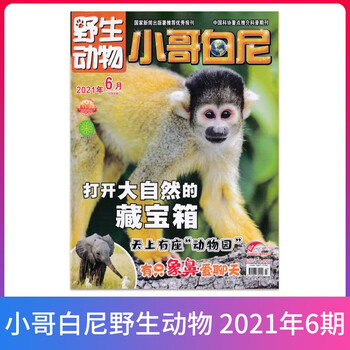 【包邮现货速发】小哥白尼杂志每月单期持续更新【军事科学】【野生动物】【神奇星球】【趣味科学】4刊可选 2021年6期野生动物