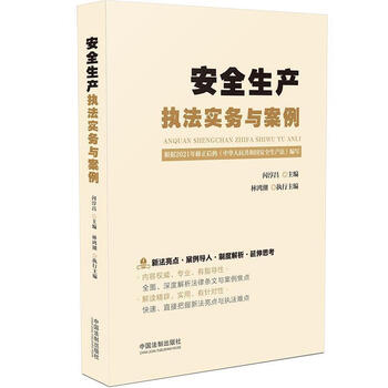 安全生产执法实务与案例 闪淳昌 著 ZGFZ