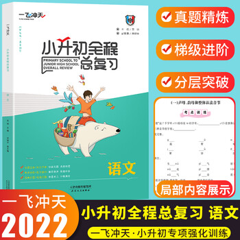 2022一飞冲天小升初全程总复习语文数学英语六年级小学升初中真题精编卷小升初考前冲刺复习辅导练习题册 总复习 语文
