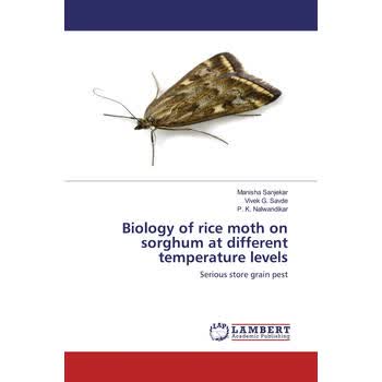 Biology of rice moth on sorghum at different tem
