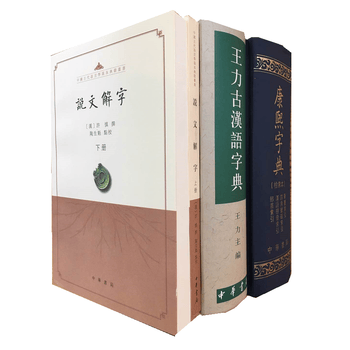 康熙字典检索本+王力古汉语字典+说文解字(点校本) 全4册