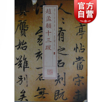 书法经典放大·墨迹系列---赵孟頫兰亭十三跋