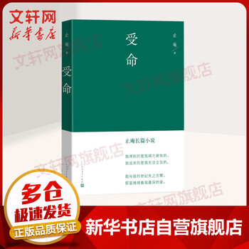受命 止庵首部长篇小说 马思纯、姚晨、张静初、张译、史航、那多盛情推荐