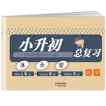 小升初总复习测试卷 数学（全套模拟试卷真题卷必刷题总复习书同步练习）