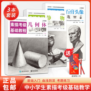 中小学生社会美术考级实例练习铅笔画手绘素描基础教程临摹速写书美术教材高考艺考考级画册基础书入门教程 套装