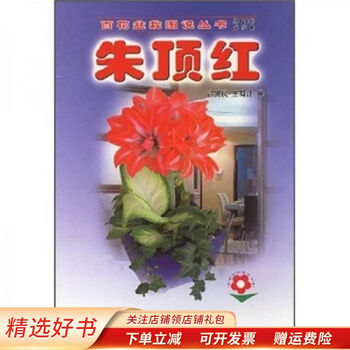 朱顶红 吕英民
