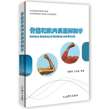 骨骼和肌肉表面解剖学 宋雅伟 王金勇