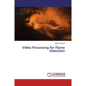 Video Processing for Flame Detection