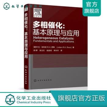 多相催化：基本原理与应用