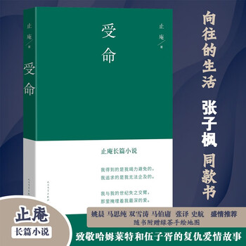 受命（马思纯  姚晨 张静初 张译 史航 那多  盛情推荐   随书附赠绿茶手绘地图）