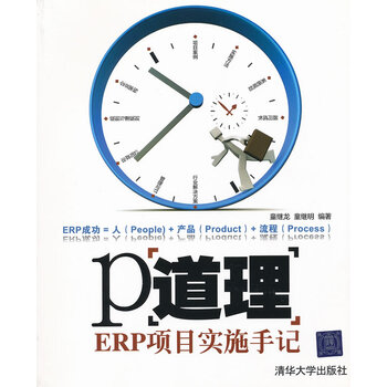 P道理:ERP项目实施手记【正版图书】