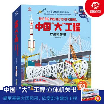 中国“大”工程