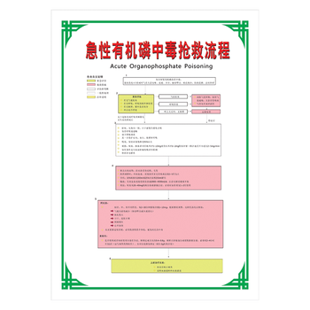 医院制度急救程序挂图过敏性休克抢救流程图示意图墙贴纸WSB169 WSB169-31 50*70cm  PP覆膜贴纸