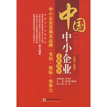 中国中小企业发展报告