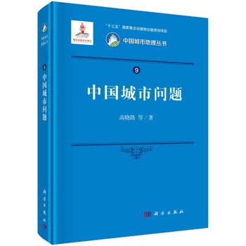 中国城市问题