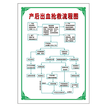 医院制度急救程序挂图过敏性休克抢救流程图示意图墙贴纸WSB169 WSB169-37 50*70cm  PP覆膜贴纸