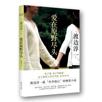 【老库存有磨损慎拍】爱在原野尽头 渡边淳一 著