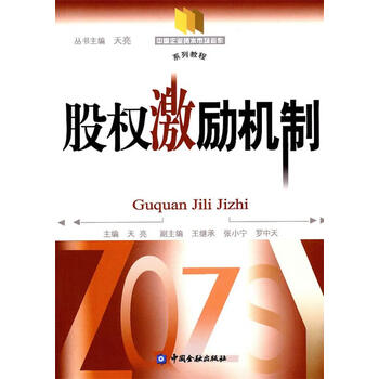 股权激励机制 天亮　主编【正版书】