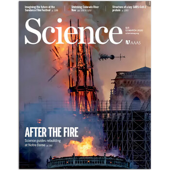 【单期可选】Science 美国科学杂志 2019年\/2020年美国自然科学科普英文杂志 #6483 2020年3月13日