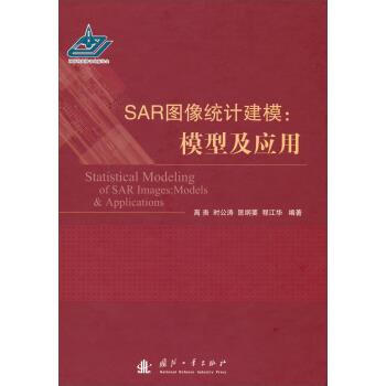 SAR图像统计建模:模型及应用