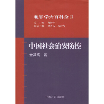 中国社会治安防控